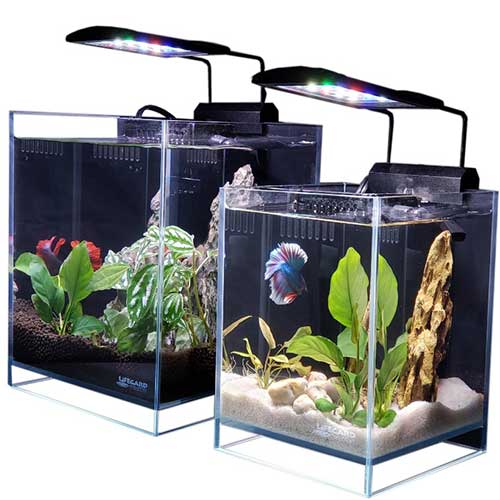 Top Picks | Best Betta Fish Tank – Nano Tank Supplies